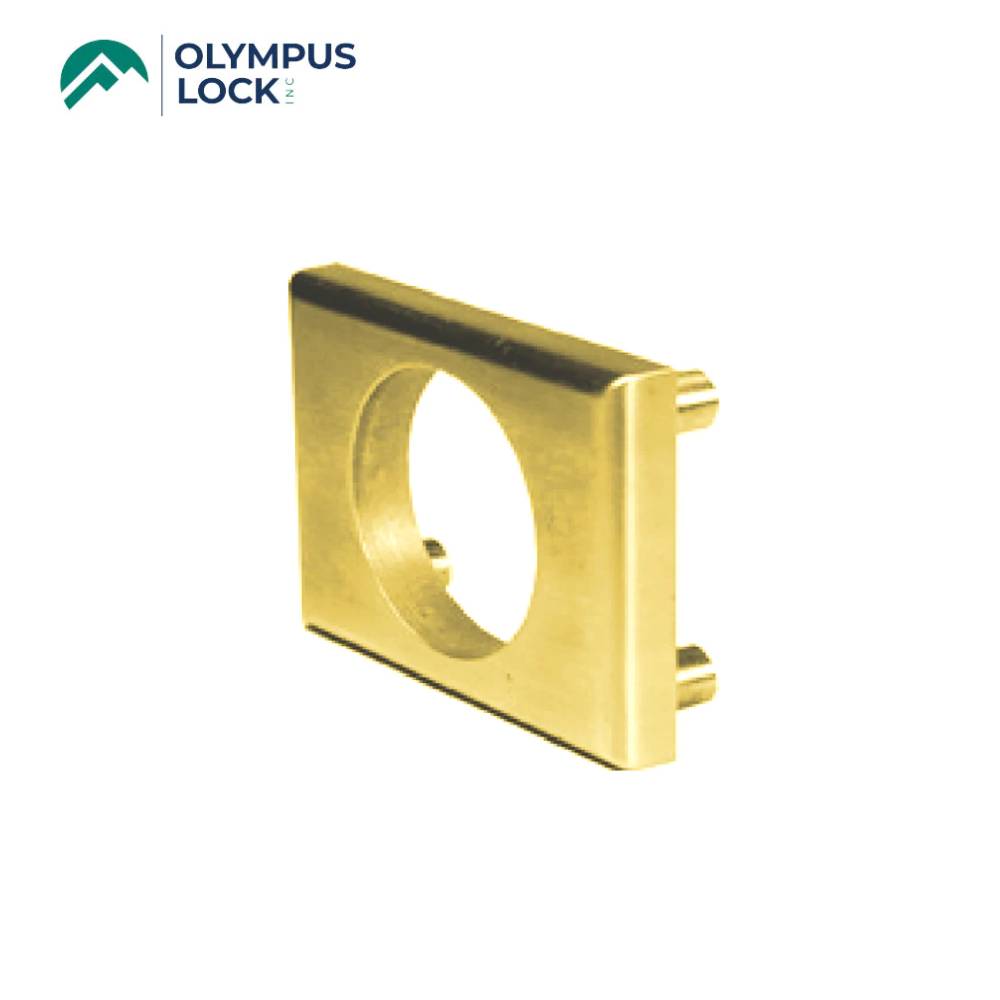 OLYMPUS LOCK - ETS1 - Through-Bolt Mounting Plates - Optional Thicknes ...